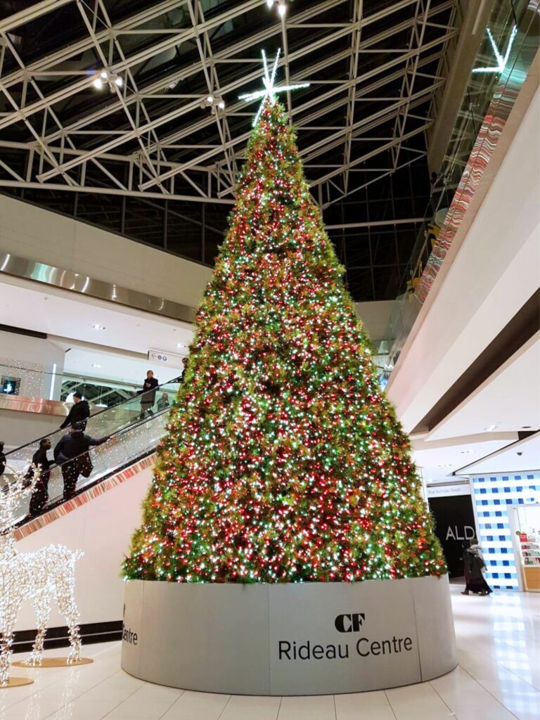 CF Centre Rideau - Portfolio - Studio Artefact