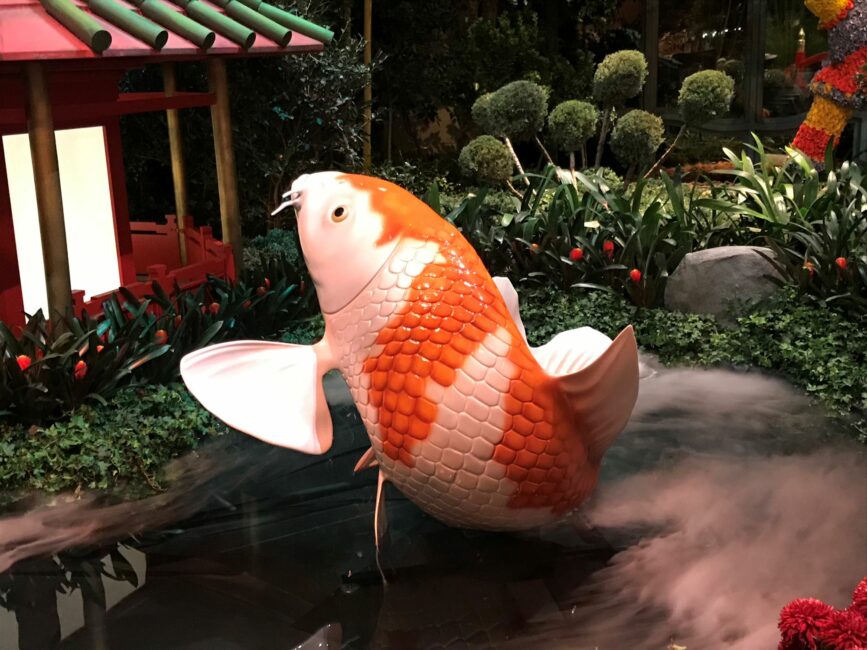 Japanese Carp - Lunar New Year - Portfolio - Studio Artefact