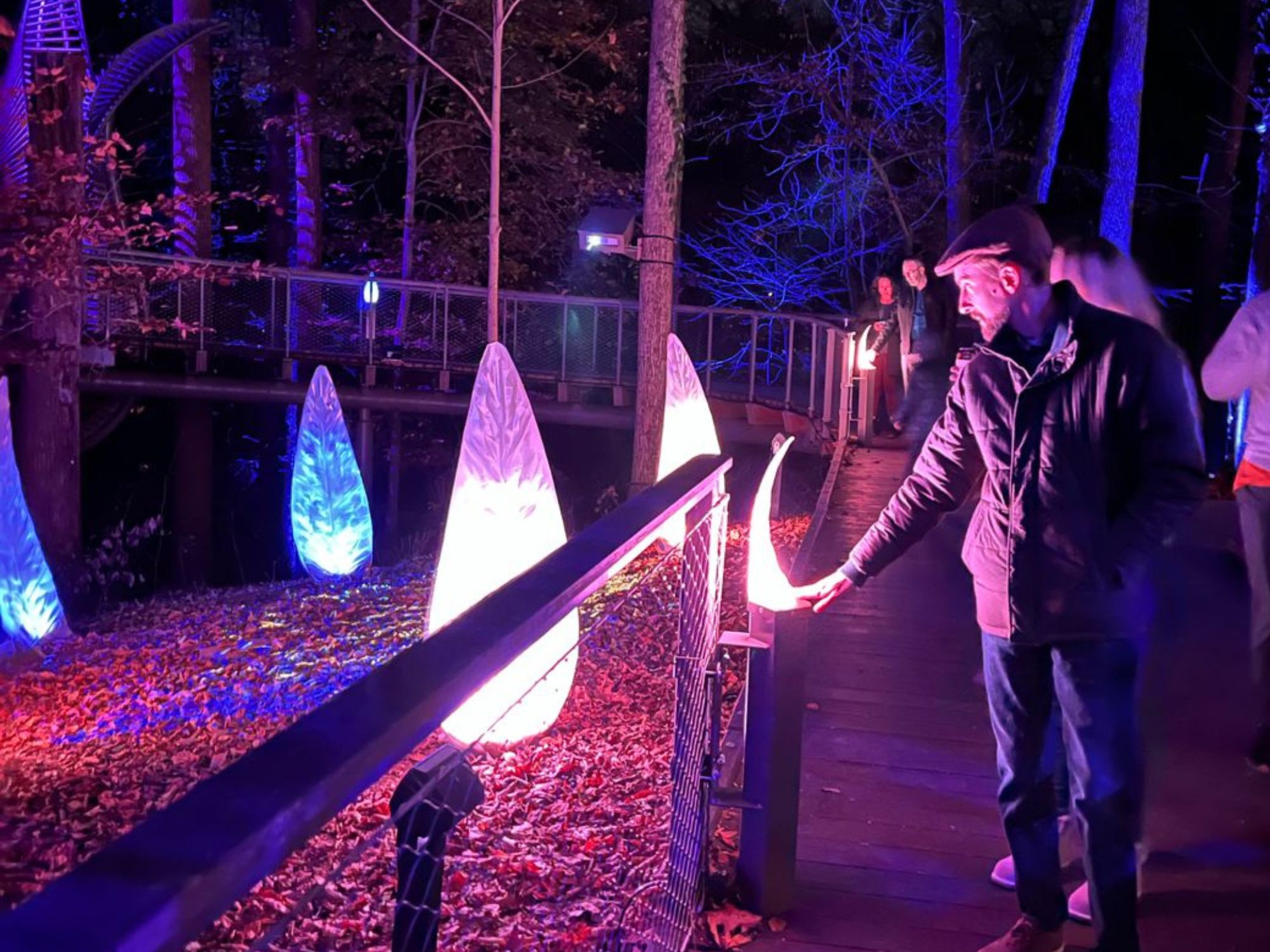 WildWoods : AGLOW - Immersive Forest at Ferbank Museum
