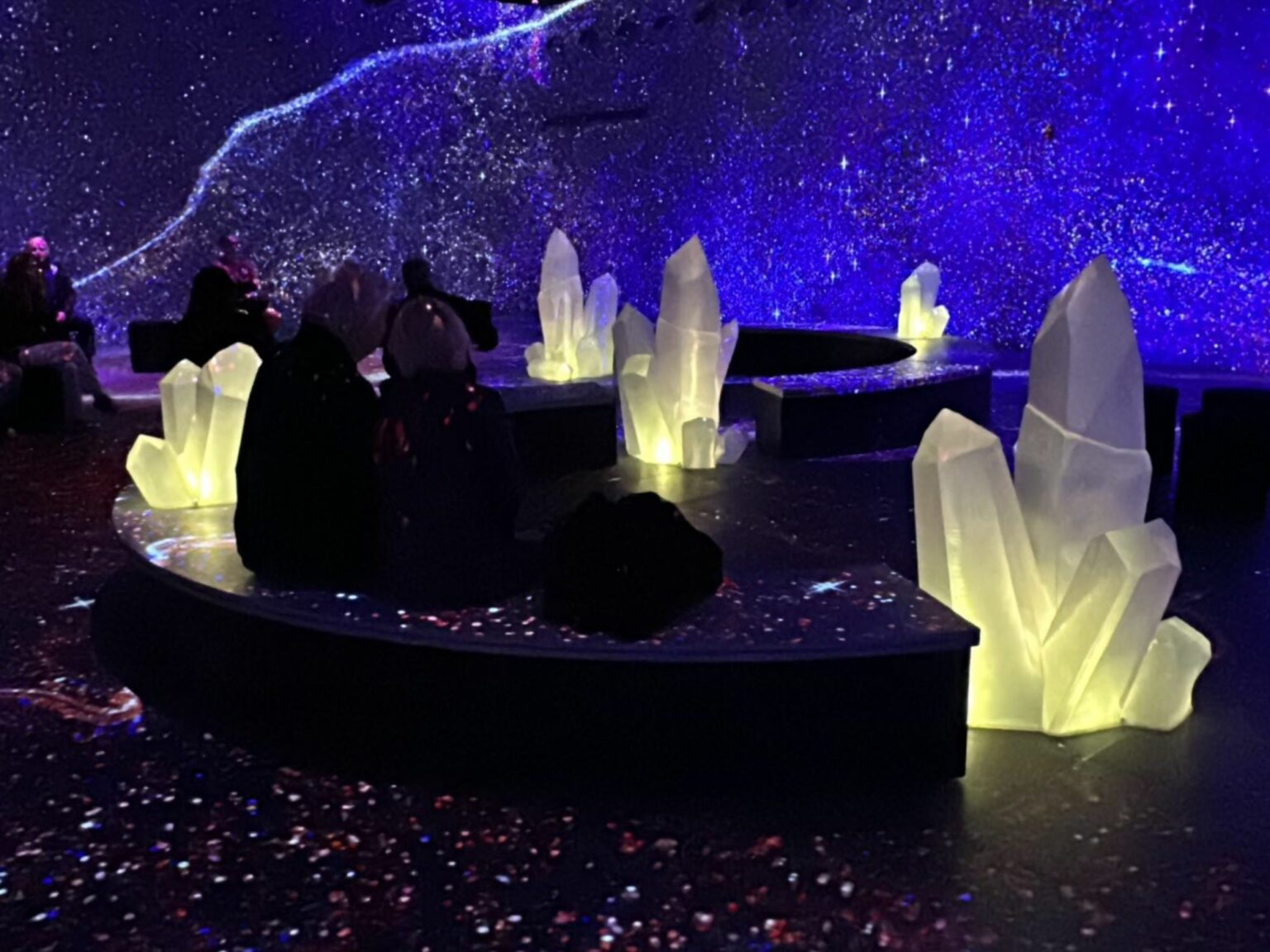 Root for Nature - Immersive Exhibit - Studio Artefact
