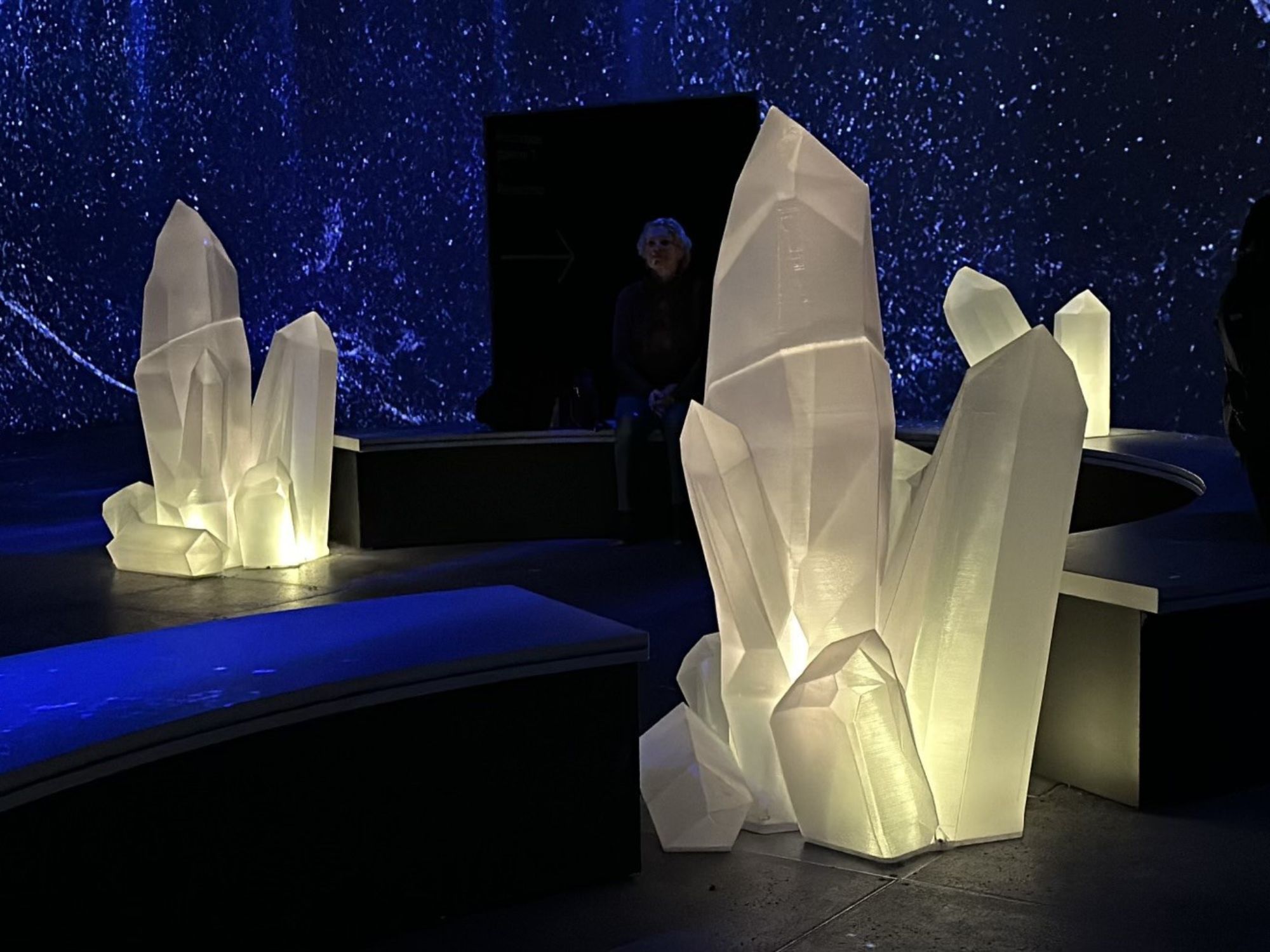 Root for Nature - Immersive Exhibit - Studio Artefact