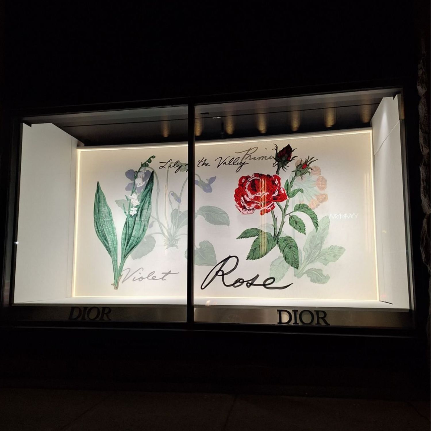 Men Fall 2024 - Dior Showcases - Studio Artefact