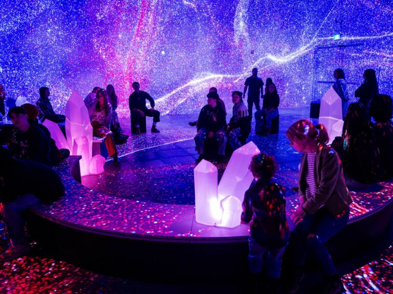 Root for Nature - Immersive Exhibit - Studio Artefact